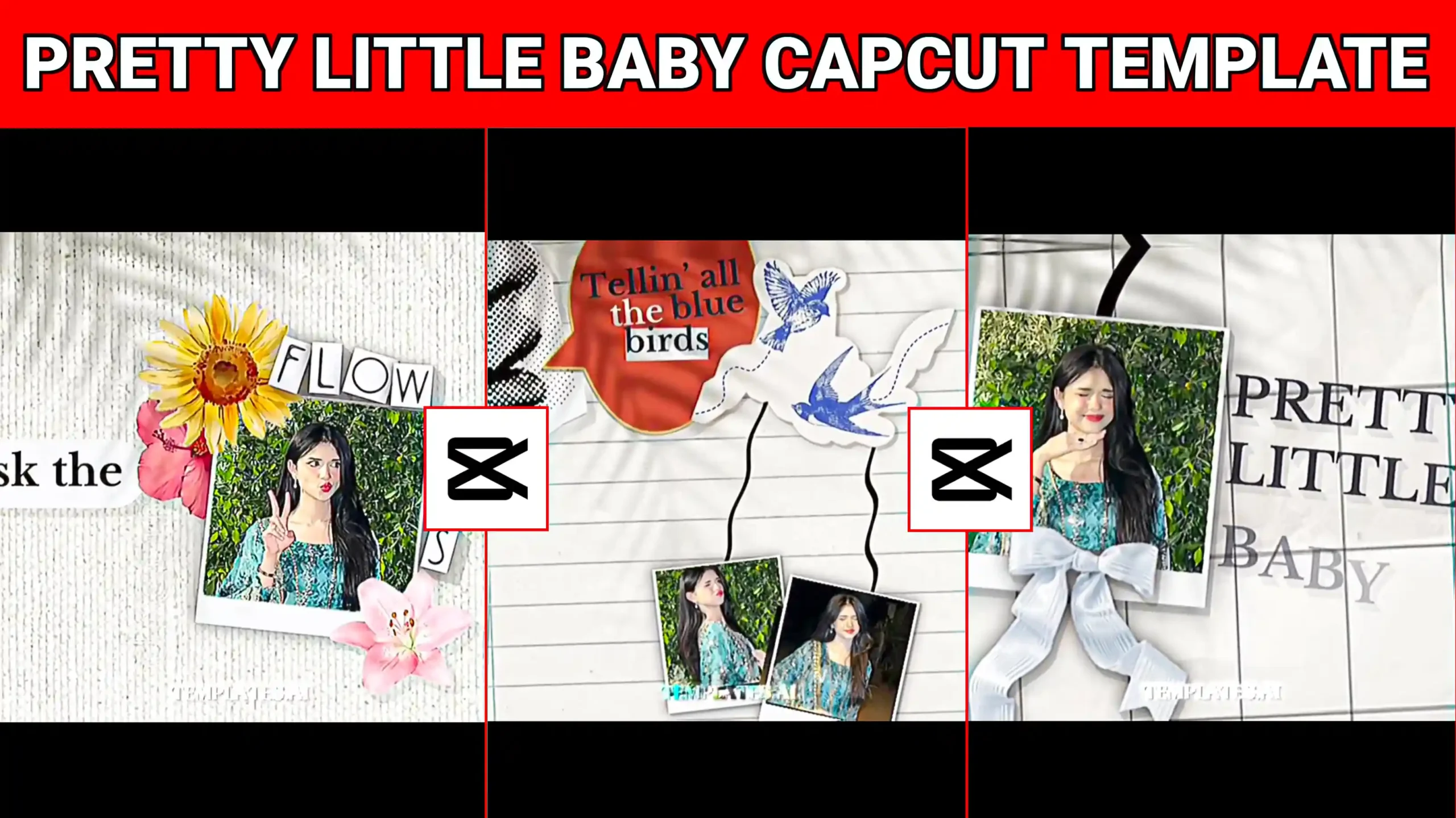 Pretty Little Baby CapCut Template 2025 | You Can Ask The Flowers ...
